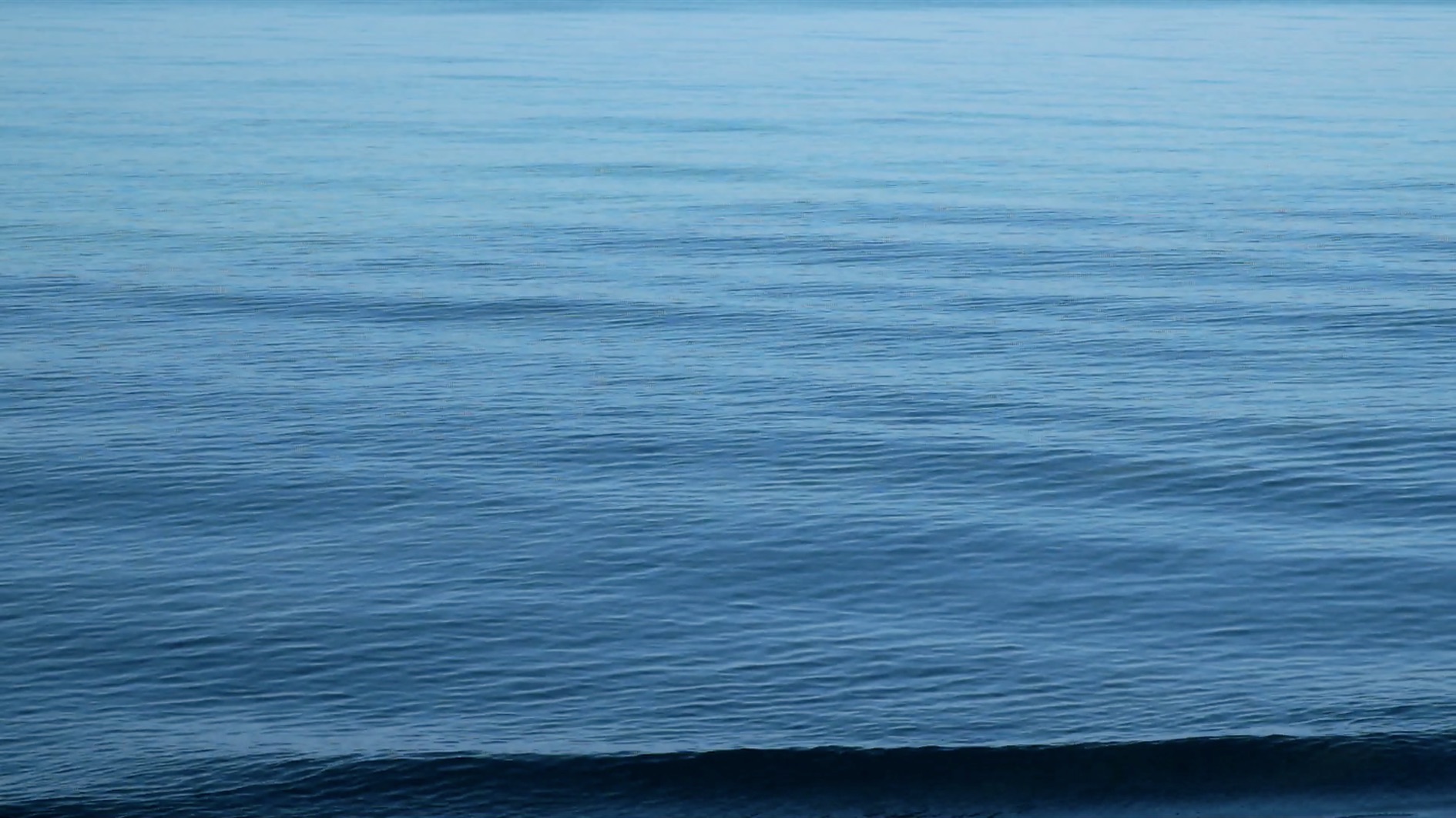 Monokino — June 2018: Blue